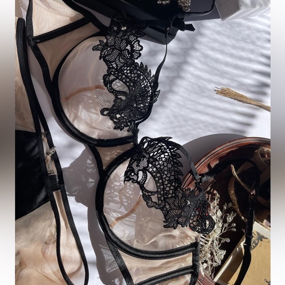 Victoria's Secret | Intimates & Sleepwear | Victorias Secret Dragon Set ...